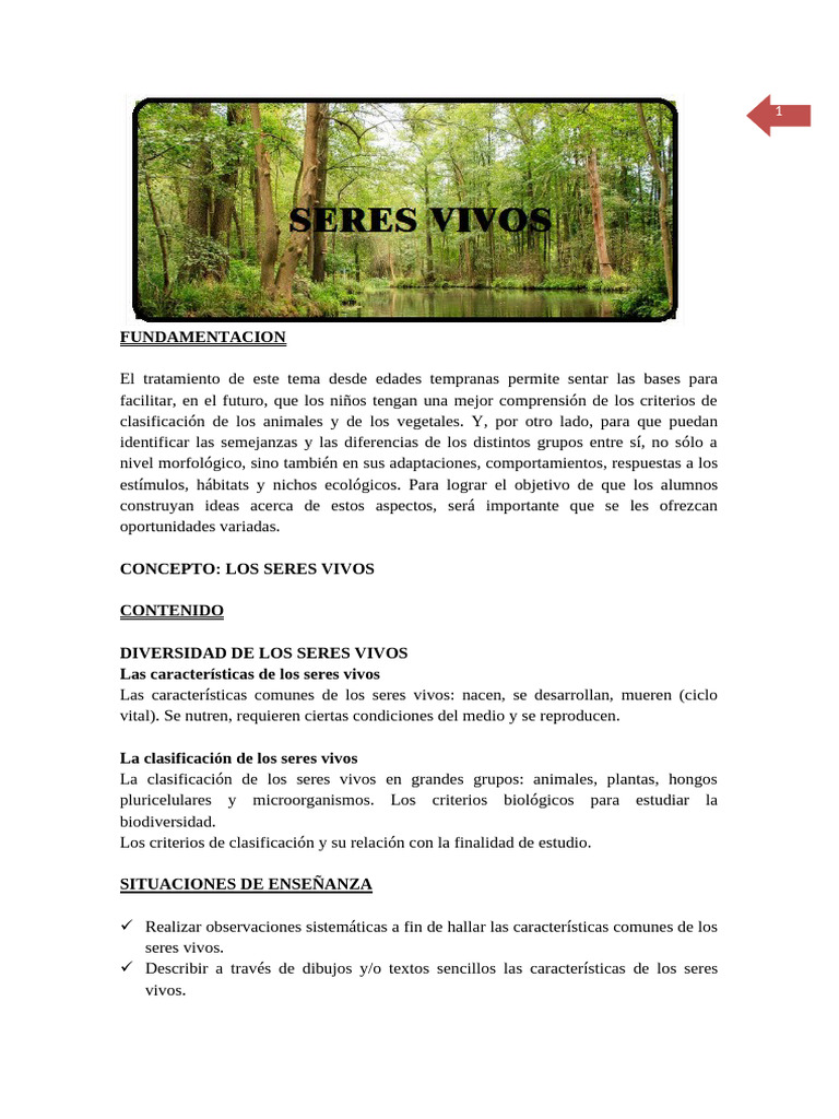 SD CS NAT 4º 2023 | PDF