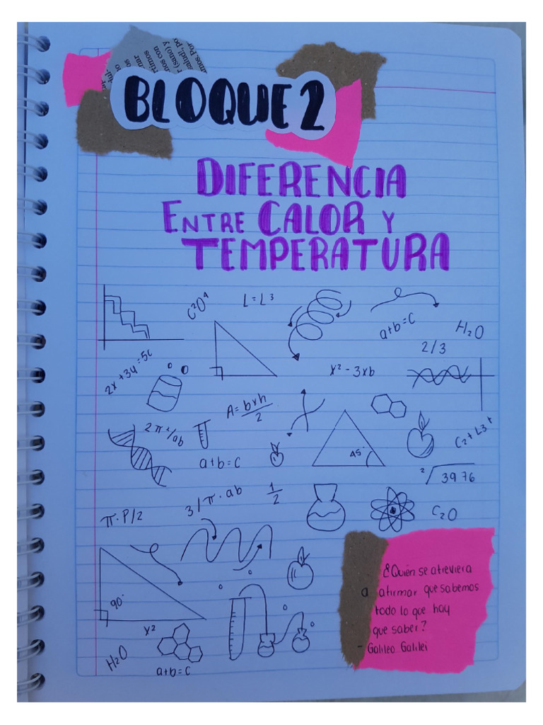 Fisica (Act 5) | PDF