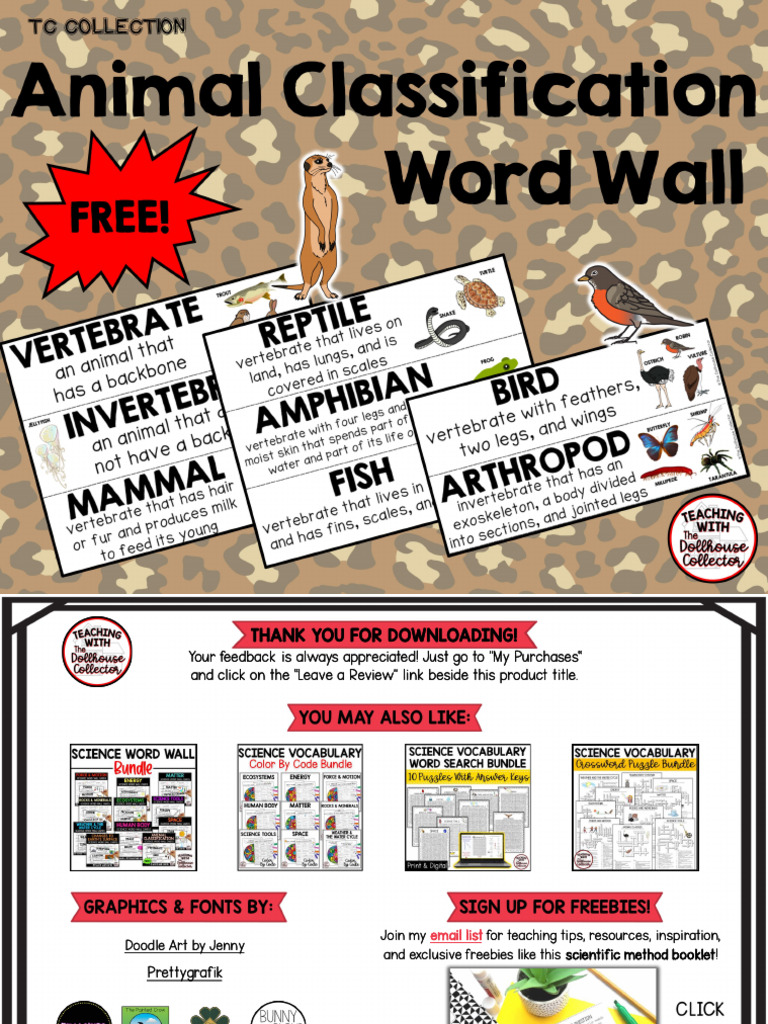 AnimalClassificationVocabularyWordWallCardsElementaryScienceClassrooms ...