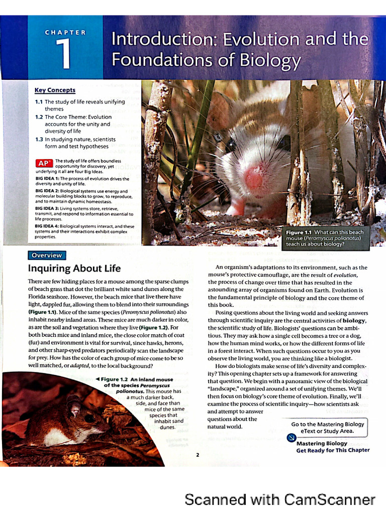 AP BIO Chapter 1 | PDF