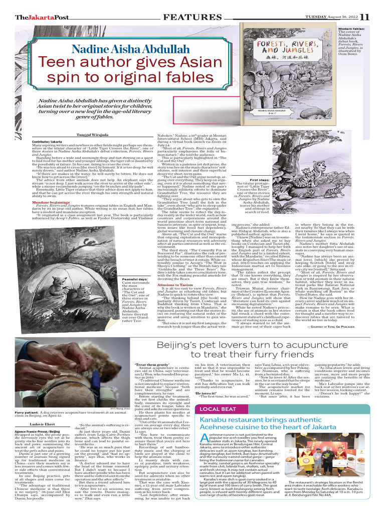 22JP16081011-NPD | PDF