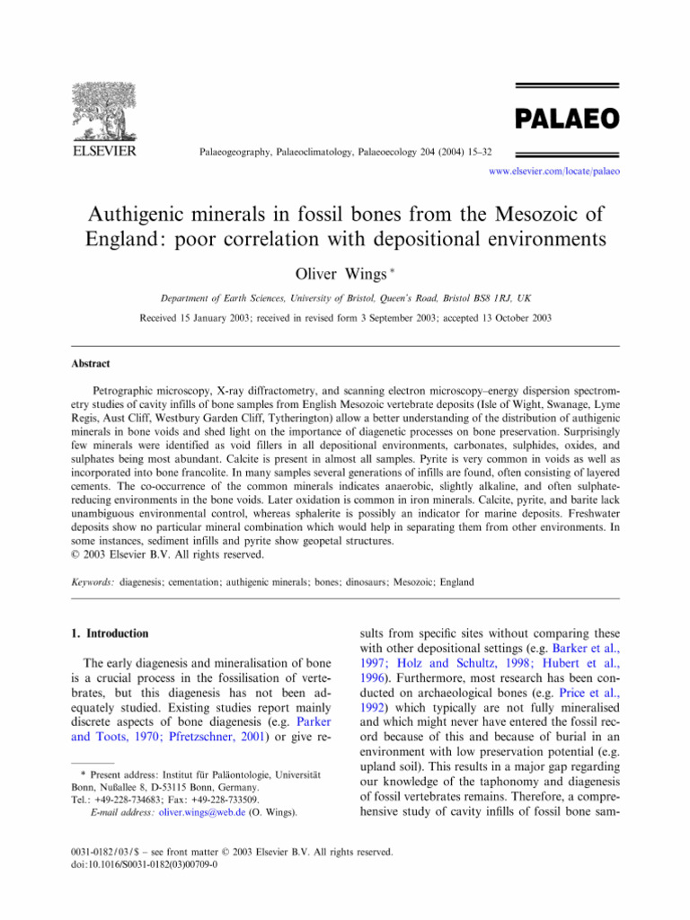 Authigenic Minerals in Fossil Bones From The Mesozoic of England | PDF