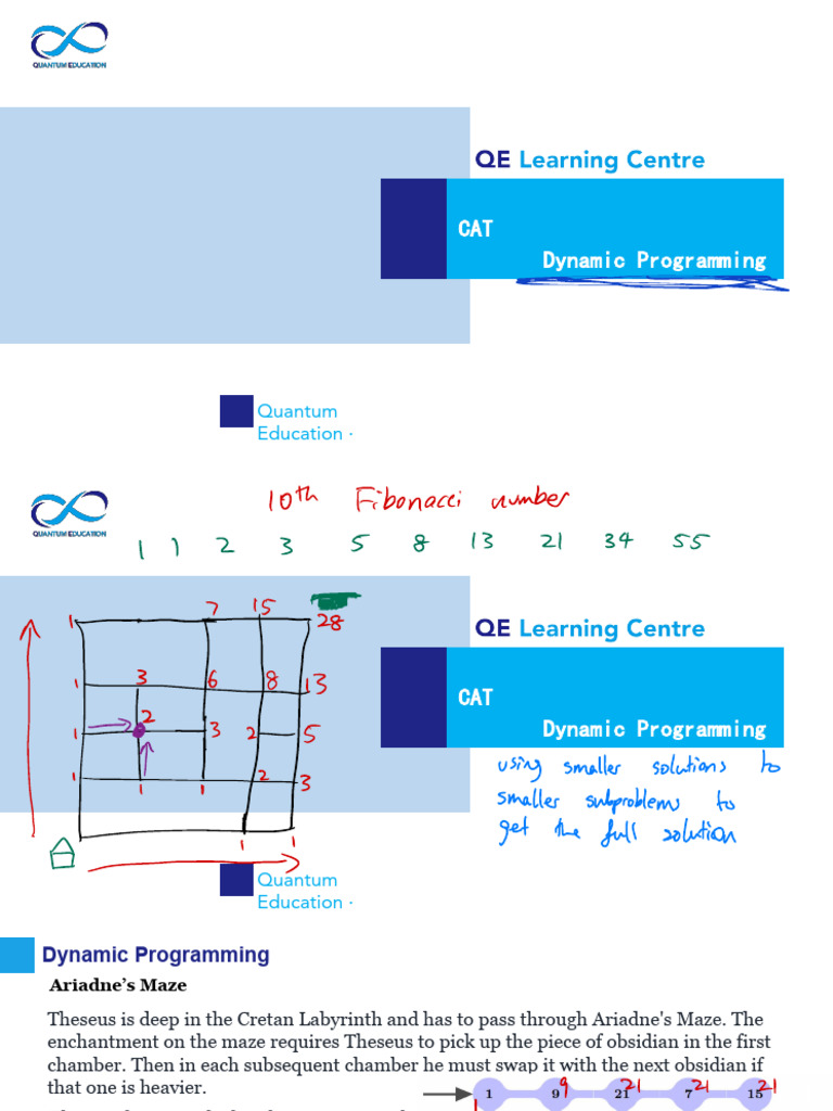 CAT Workshop (Dynamic Programming) | PDF