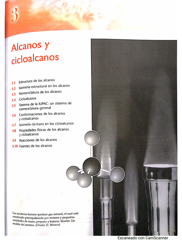 Alcanos y Ciclo Alcanos | PDF