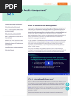 Internal Audit Executive Summary Template | PDF | Internal Audit | Audit