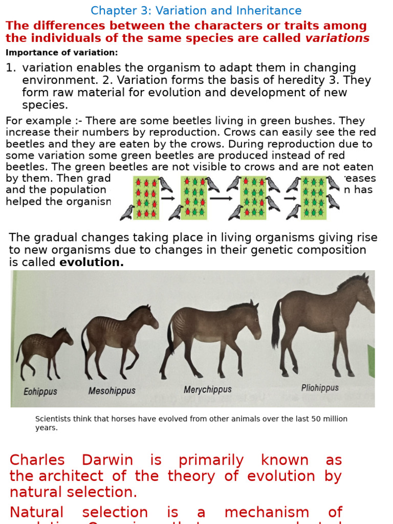 8th grade chapter 3 variation and inheritance | PDF