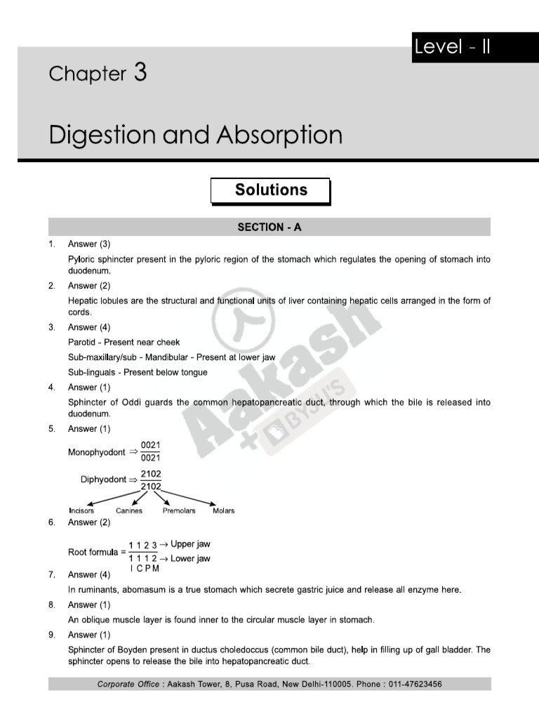 Level 2 Digestion and Absorption | PDF