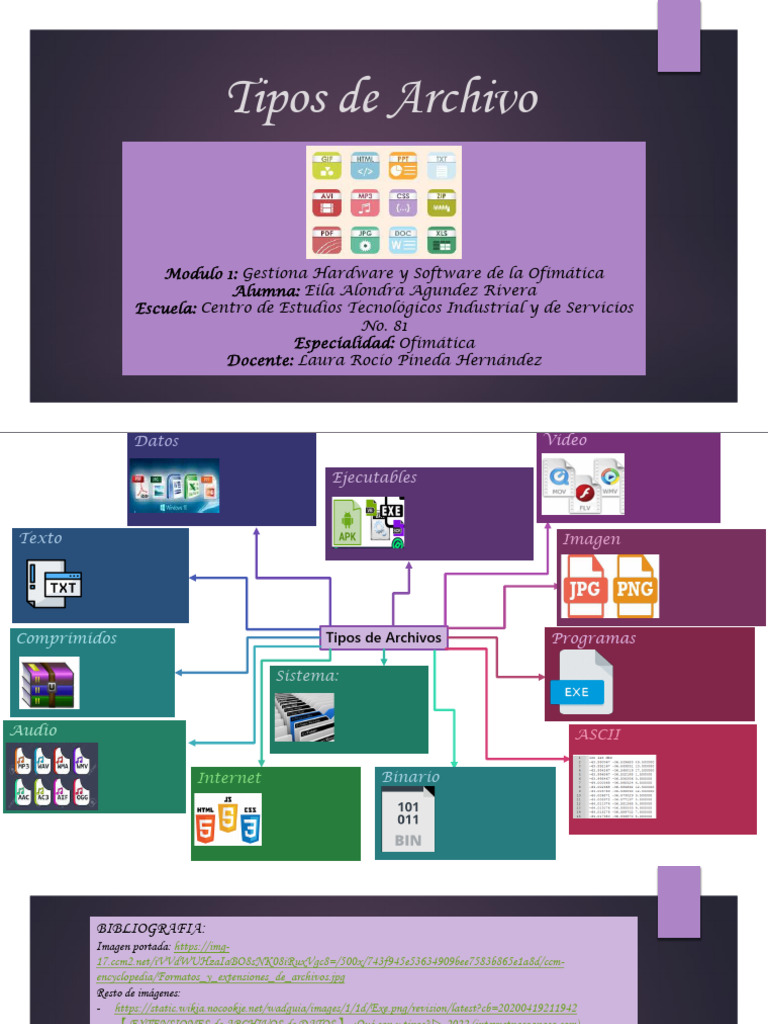 Tipos de Archivo | PDF