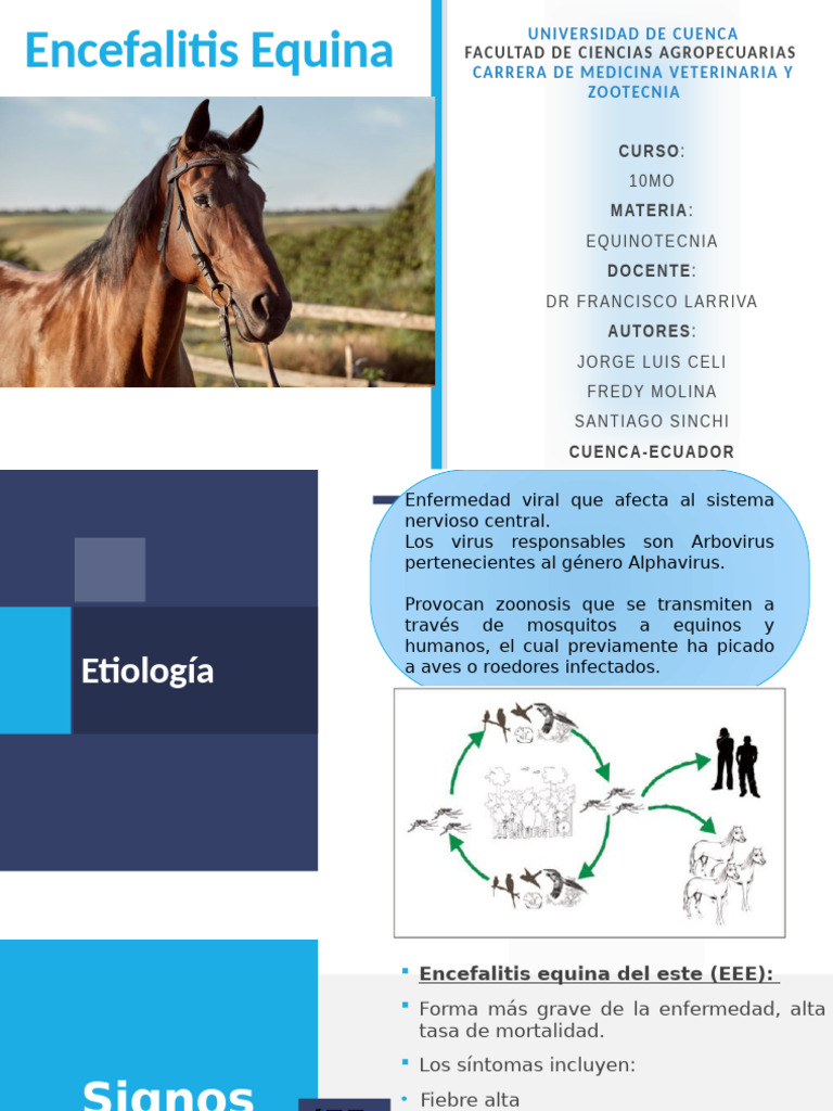 Encefalitis Equina EQUINOS | PDF