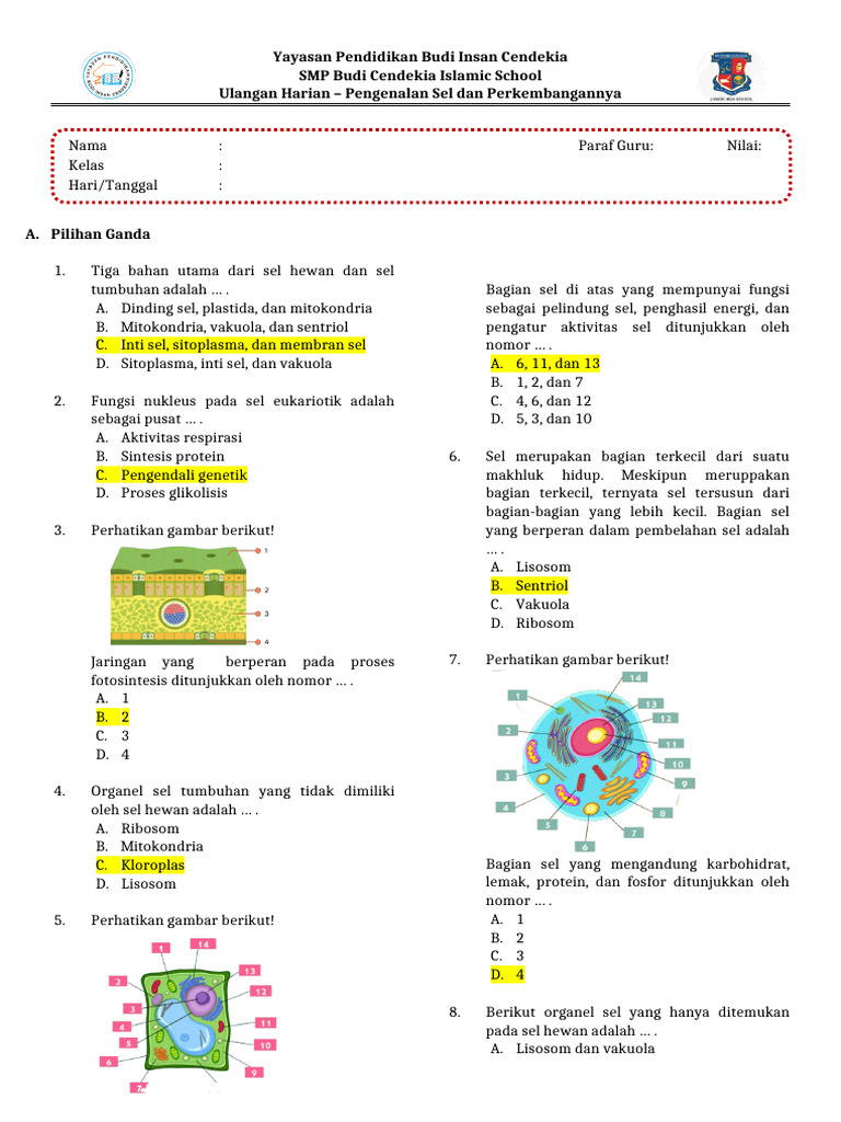 UH - Pengenalan Sel Dan Perkembangannya | PDF
