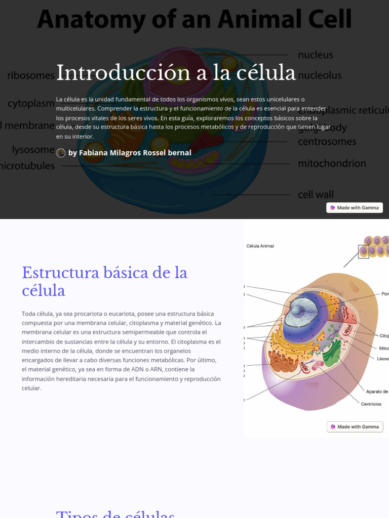 Introduccion A La Celula | PDF