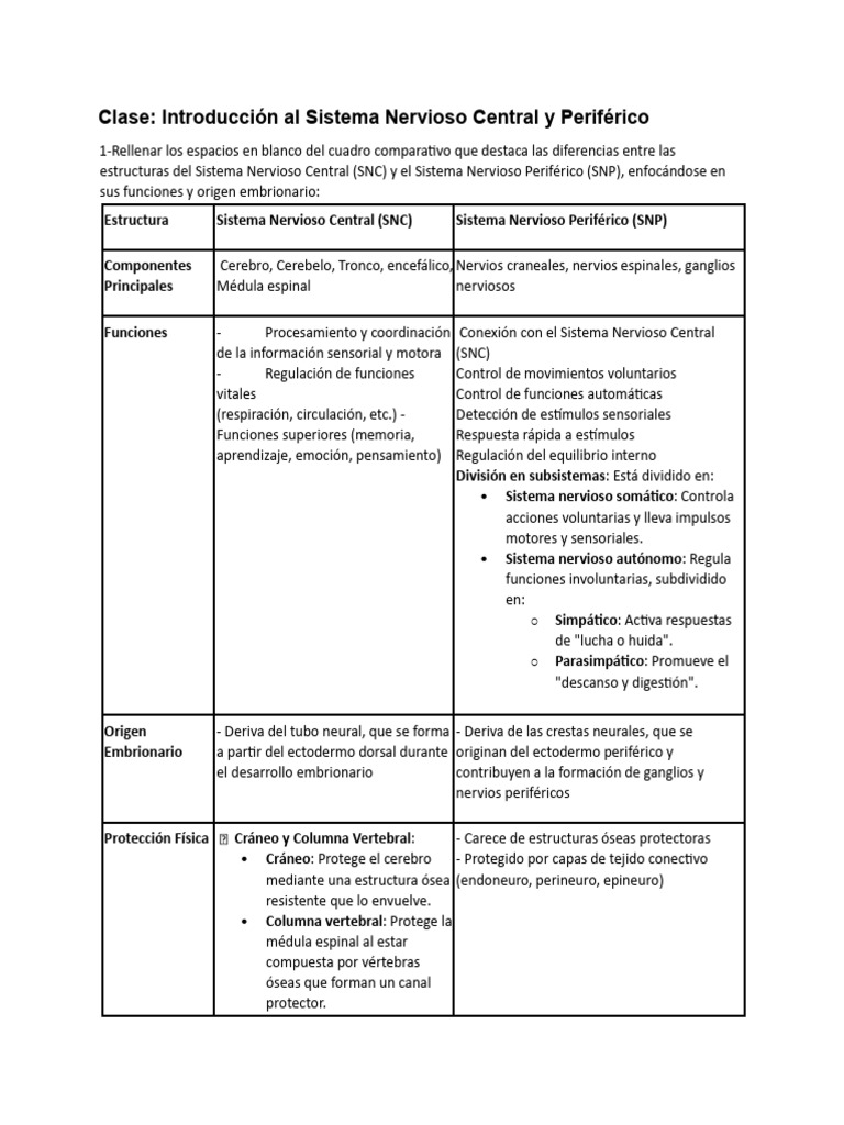 Cuadro comparativo y preguntas. (SNC Y SNP) | PDF