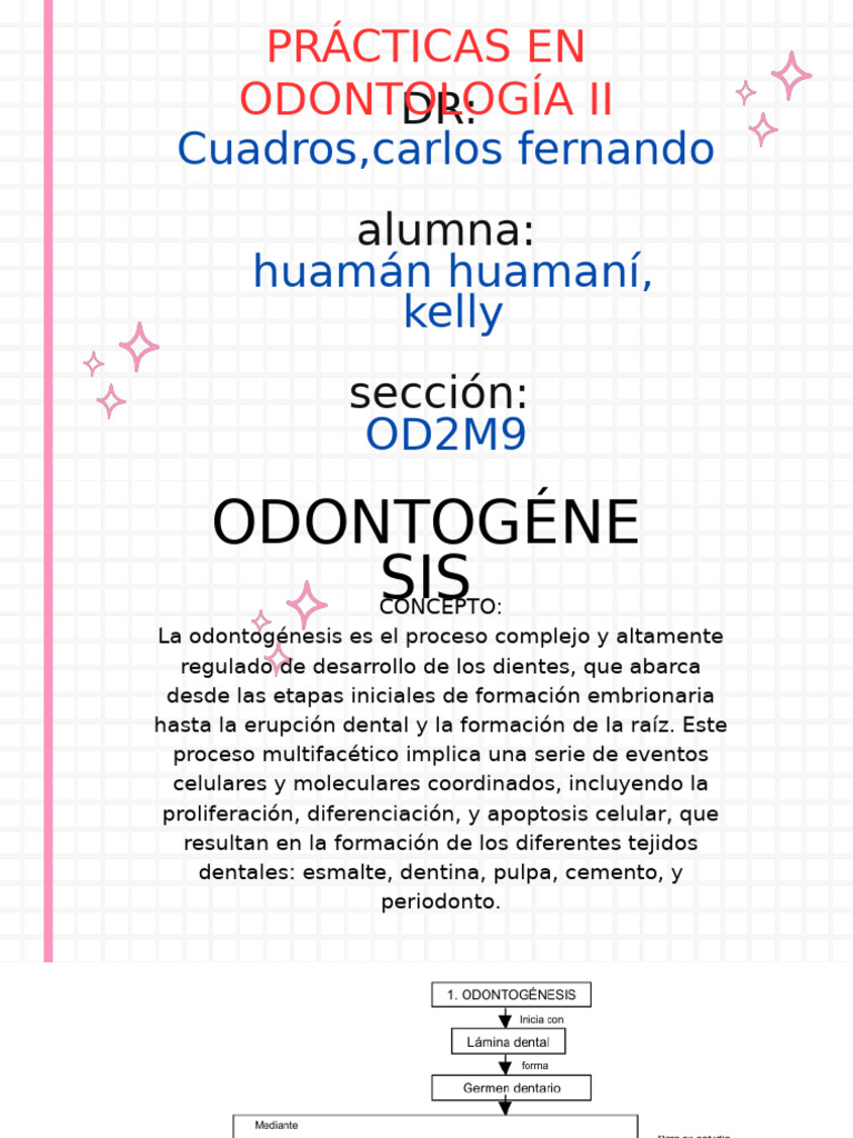 ODONTOGÉNESIS | PDF | Ciencia y matemáticas