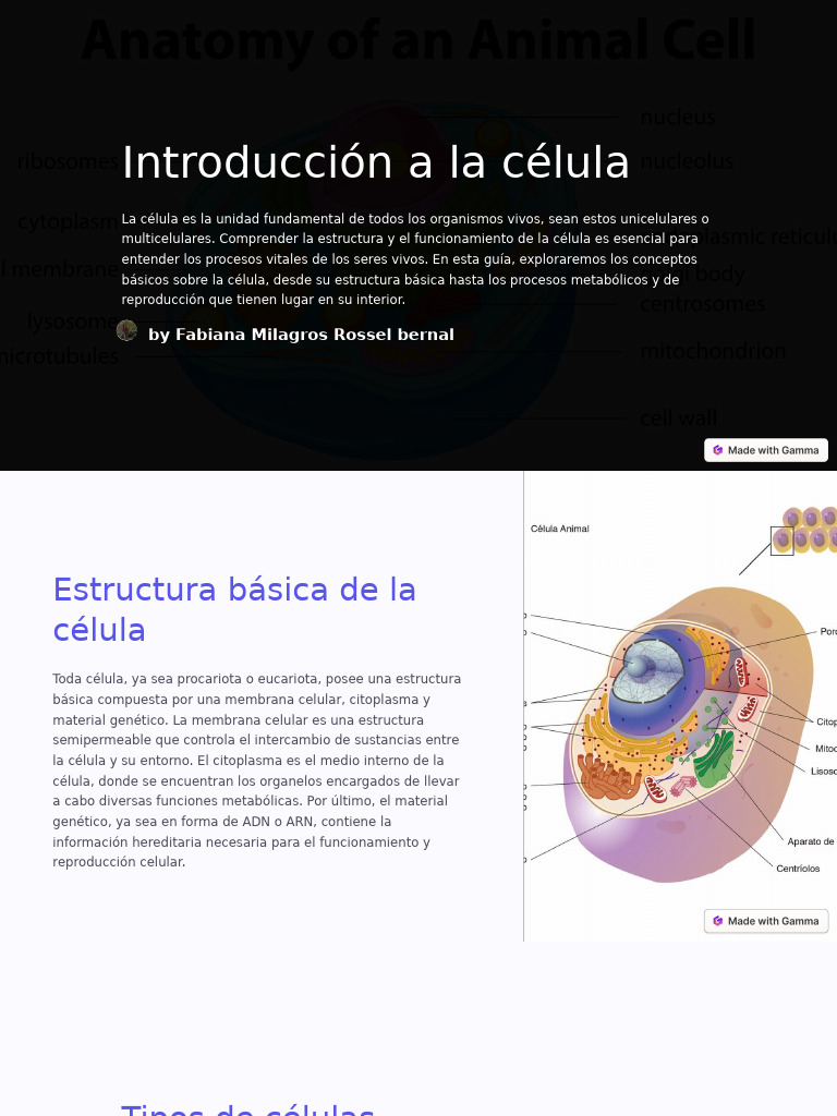 Introduccion-a-la-celula (1) | PDF
