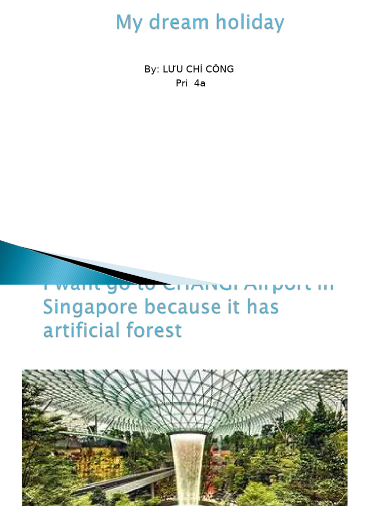 My dream holiday | PDF