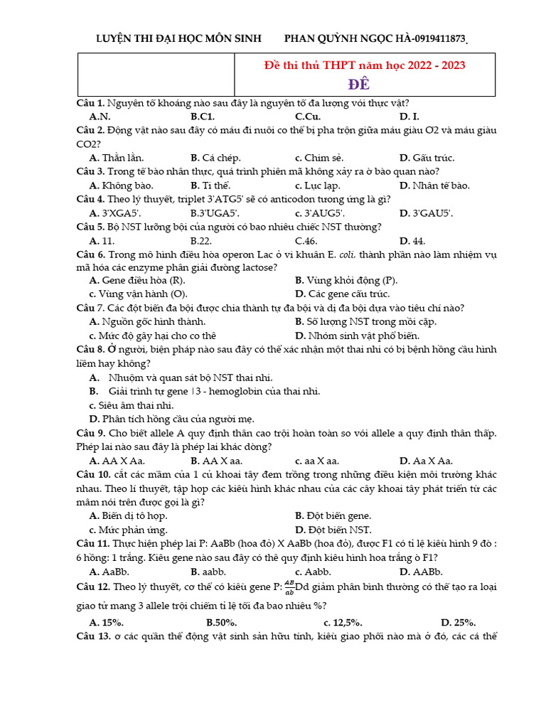 Đề khởi động MrC 2023 PDF | PDF