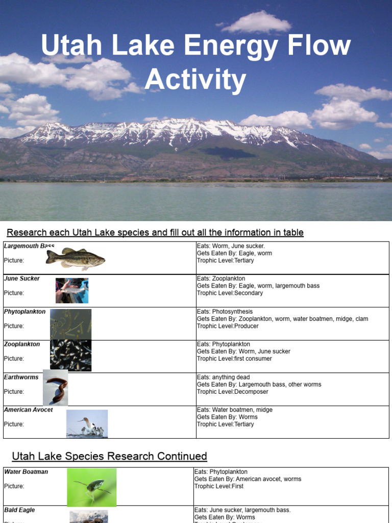 Utah Lake Energy Flow Activity | PDF