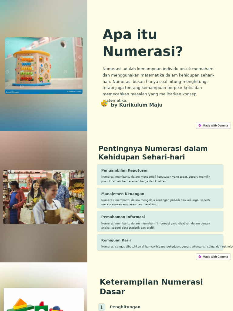 Apa Itu Numerasi | PDF