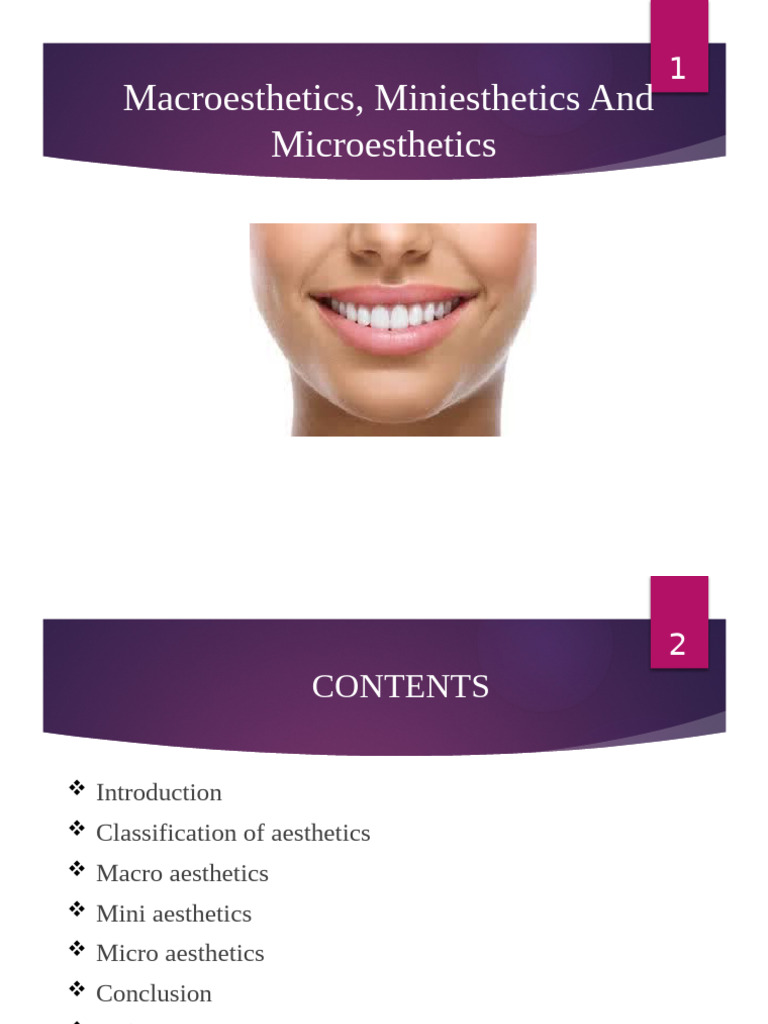 7.macro, Mini and Microesthetics | PDF