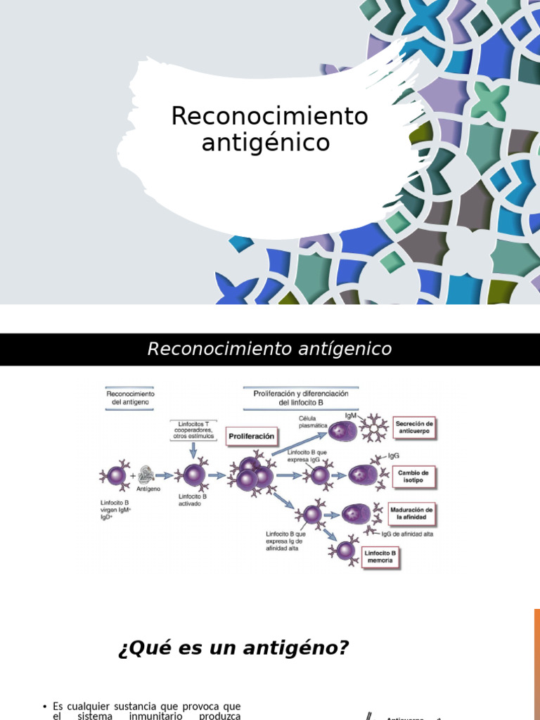 Reconocimiento Antigénico y Haptenos | PDF | Antígeno | Sistema inmune