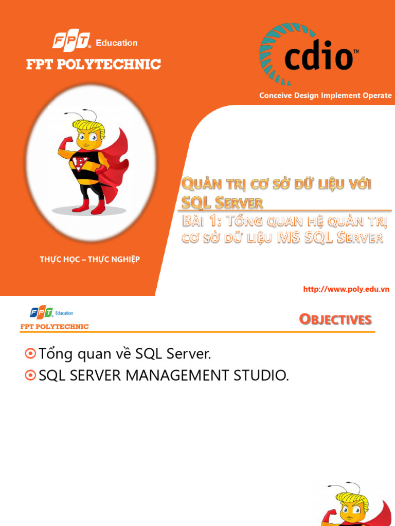 Slides 1 | PDF | Microsoft Sql Server | Business