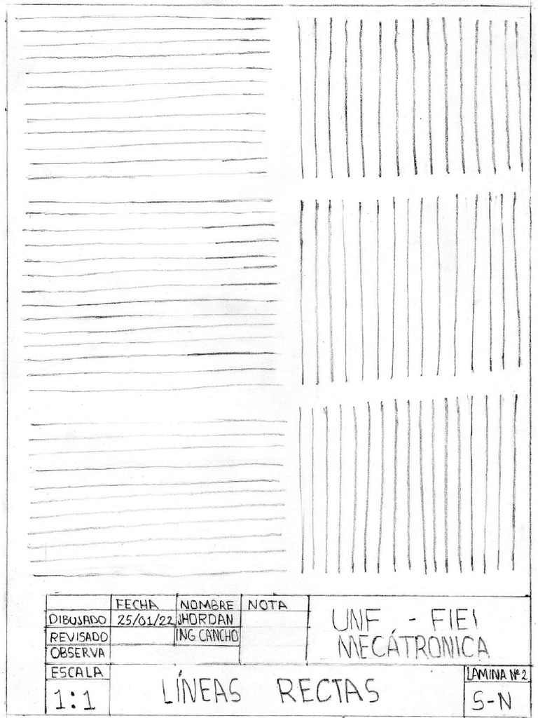 lamina 1 y lamina 2 | PDF