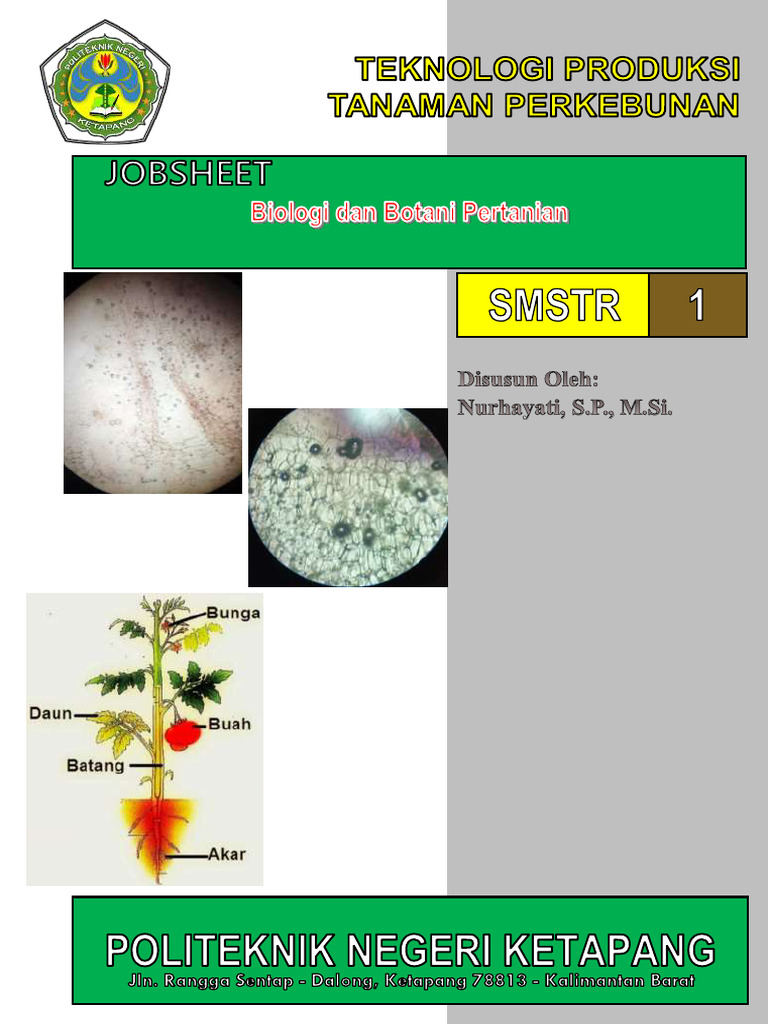 Jobsheet Biologi Dan Botani Pertanian 2024 TPTP-1 | PDF