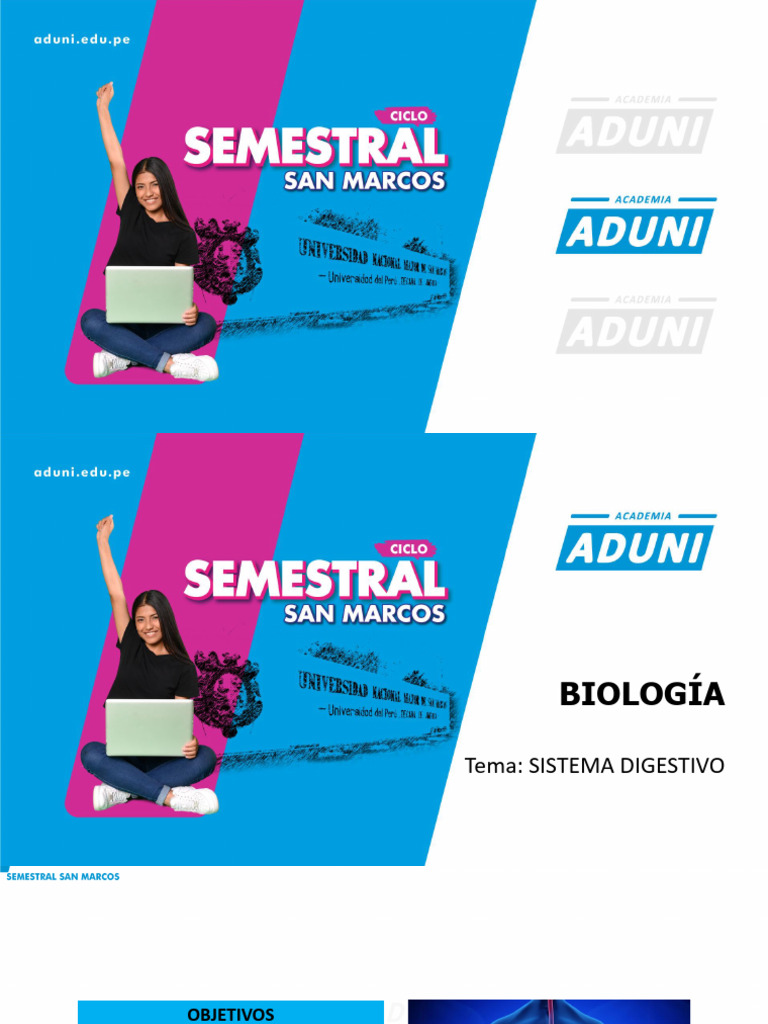 SSM TS013 BI1 Sistema Digestivo | PDF