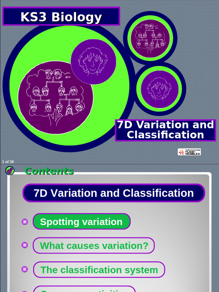 11 Variation and Classification Microbes GR 11 | PDF