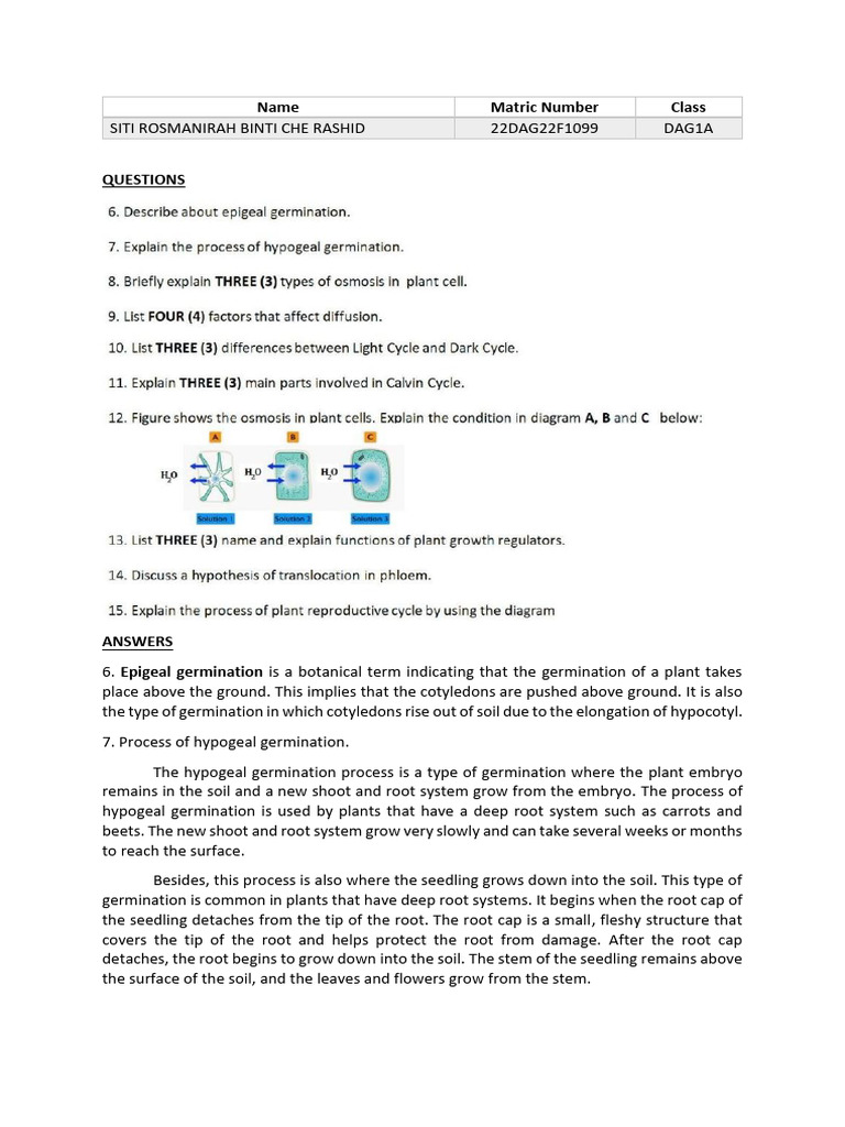 Summary of Plant Biology Concepts | PDF | Plants | Botany