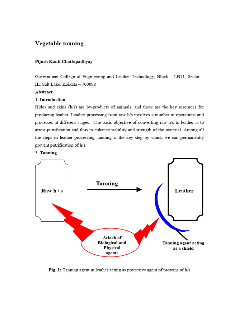 Vegetable Tanning MLT 203 | PDF