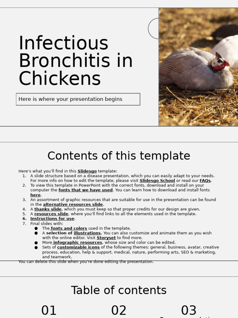Infectious Bronchitis in Chickens by Slidesgo | PDF