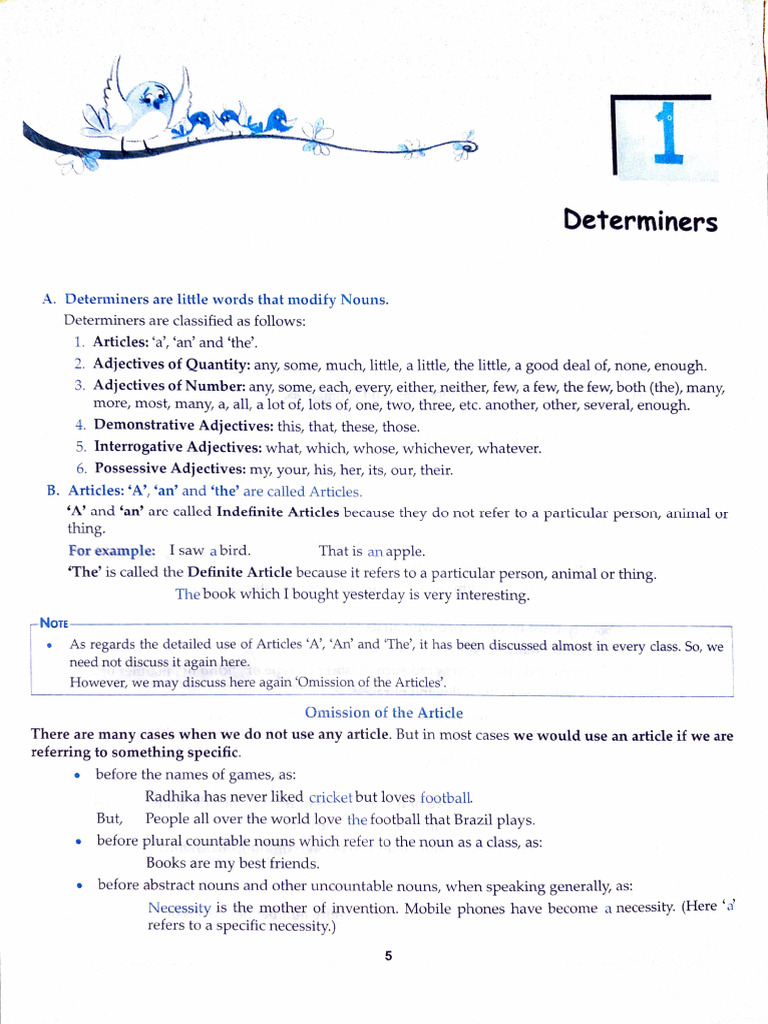 CH 1 Determiners 01 Aug | PDF