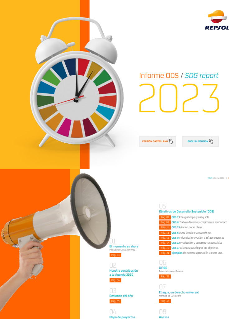 2023 Sdg Report | PDF