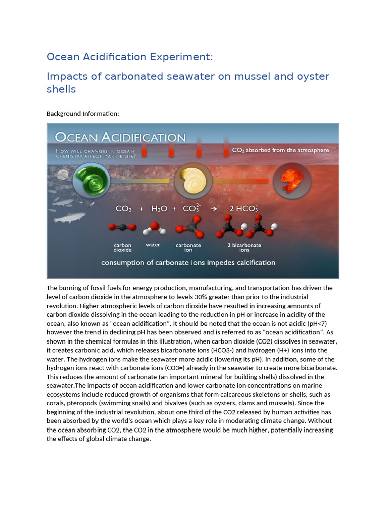 Ocean Acidification Experiment | PDF | Ocean Acidification | Wellness