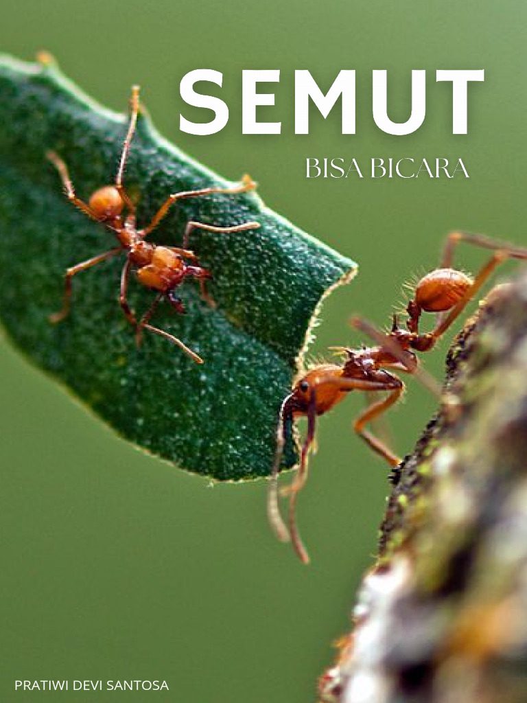 Semut Bisa Bicara | PDF | Hexapoda | Insects