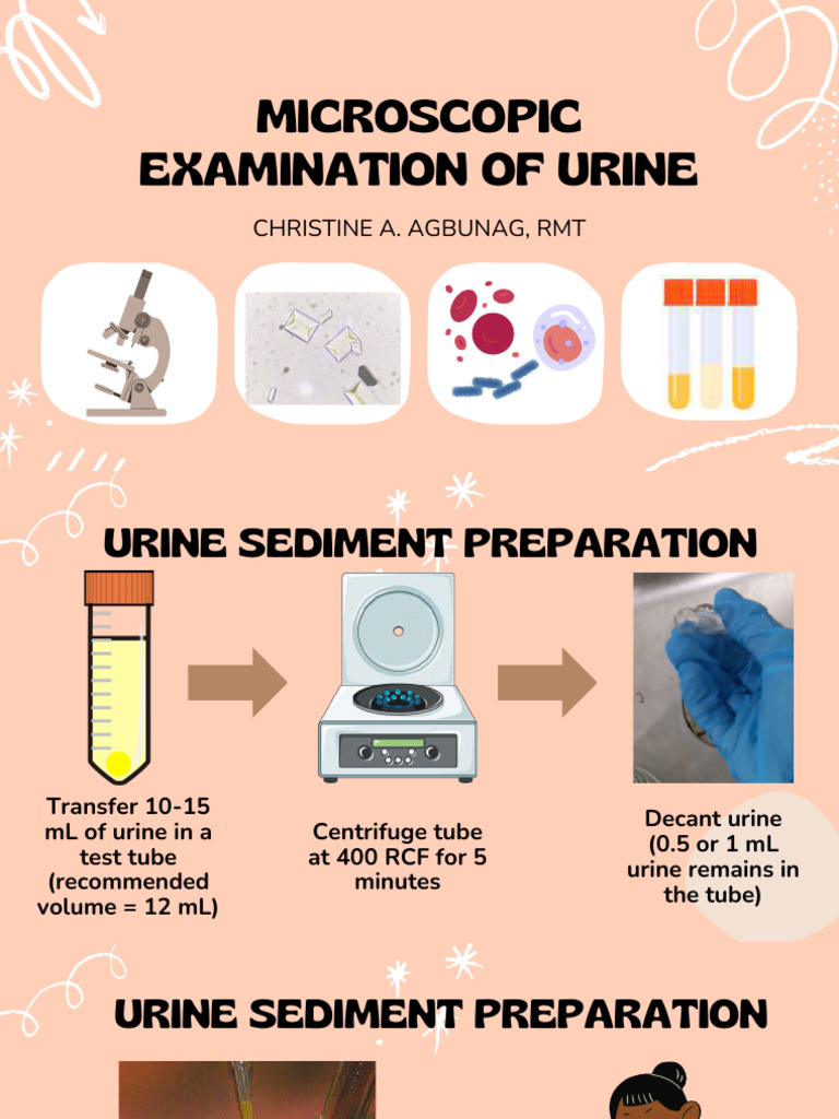 Microscopic Examination of Urine | PDF