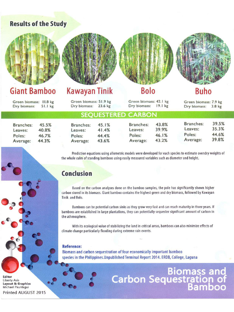 Biomass and Carbon Sequestration of Bamboo | PDF