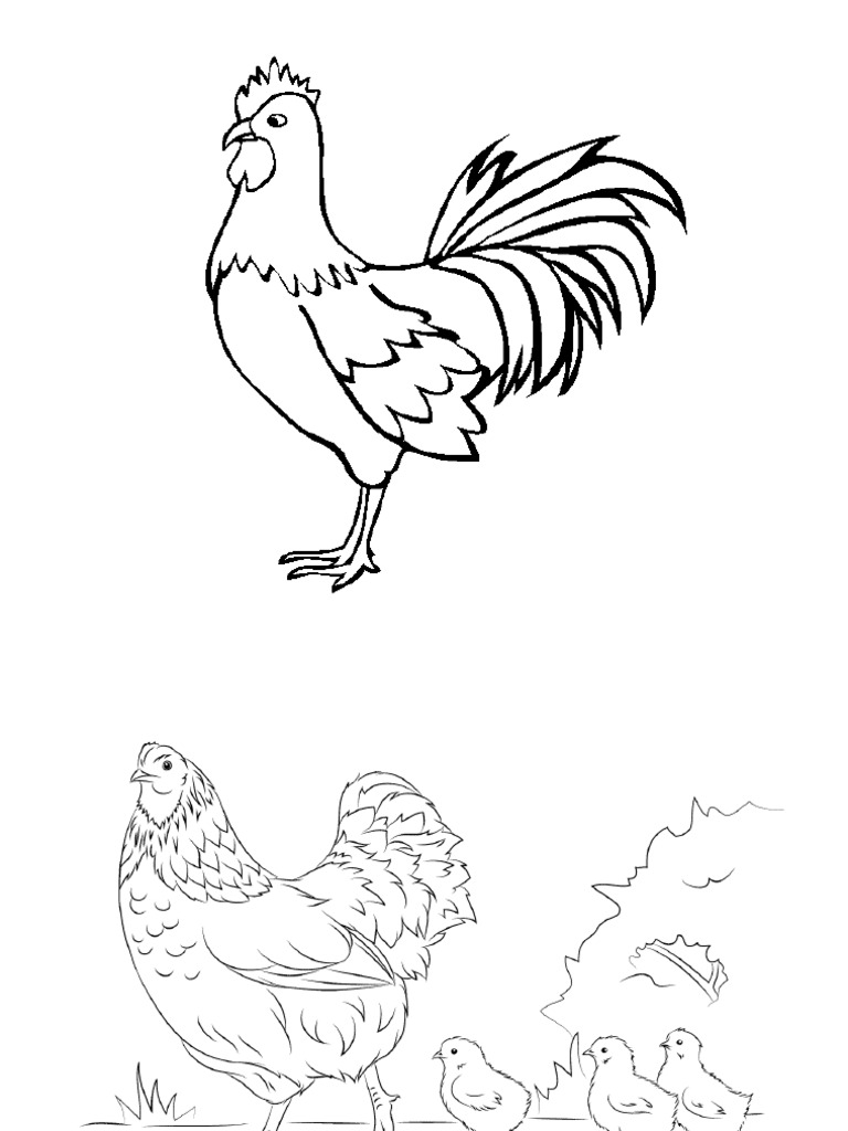 Ayam | PDF