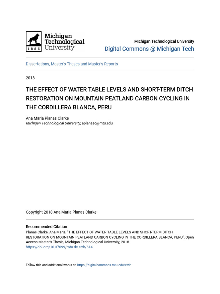 2 - The Effect of Water Table Levels and Short-Term Ditch Restoration ...