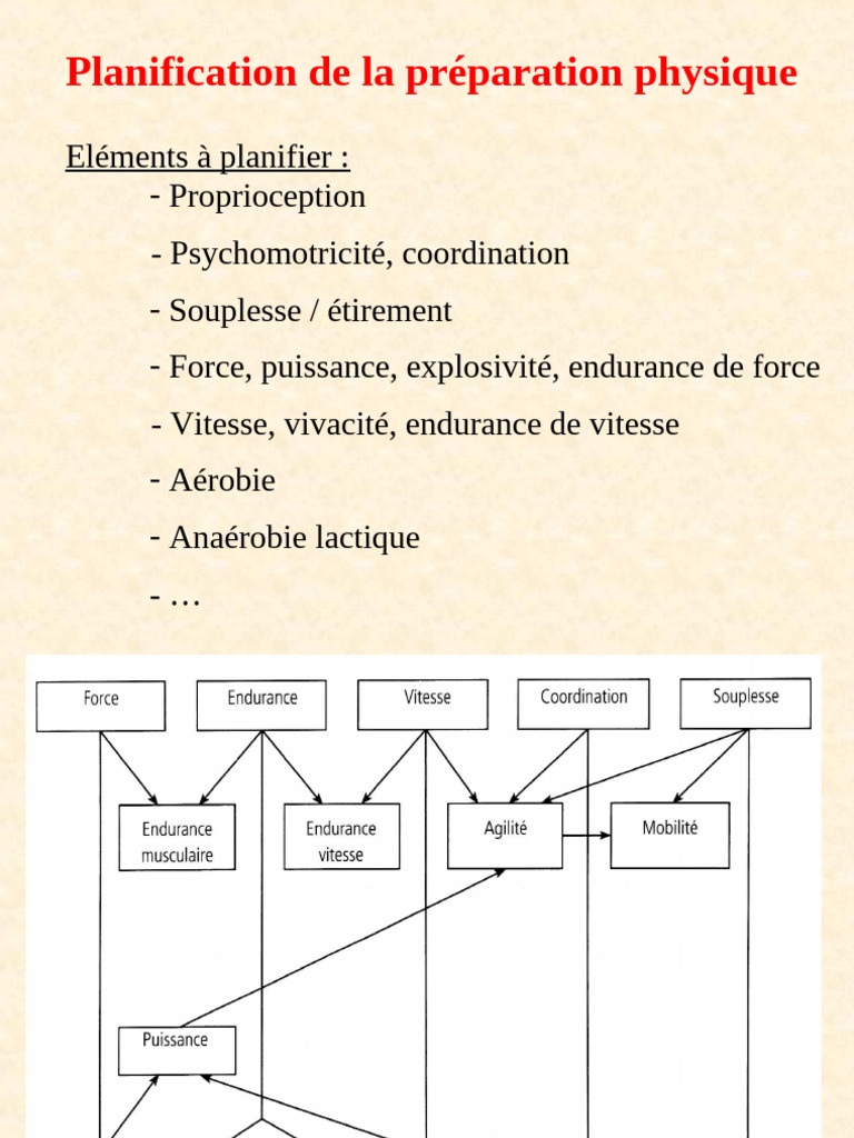 Planification de La Prépa Physique | PDF