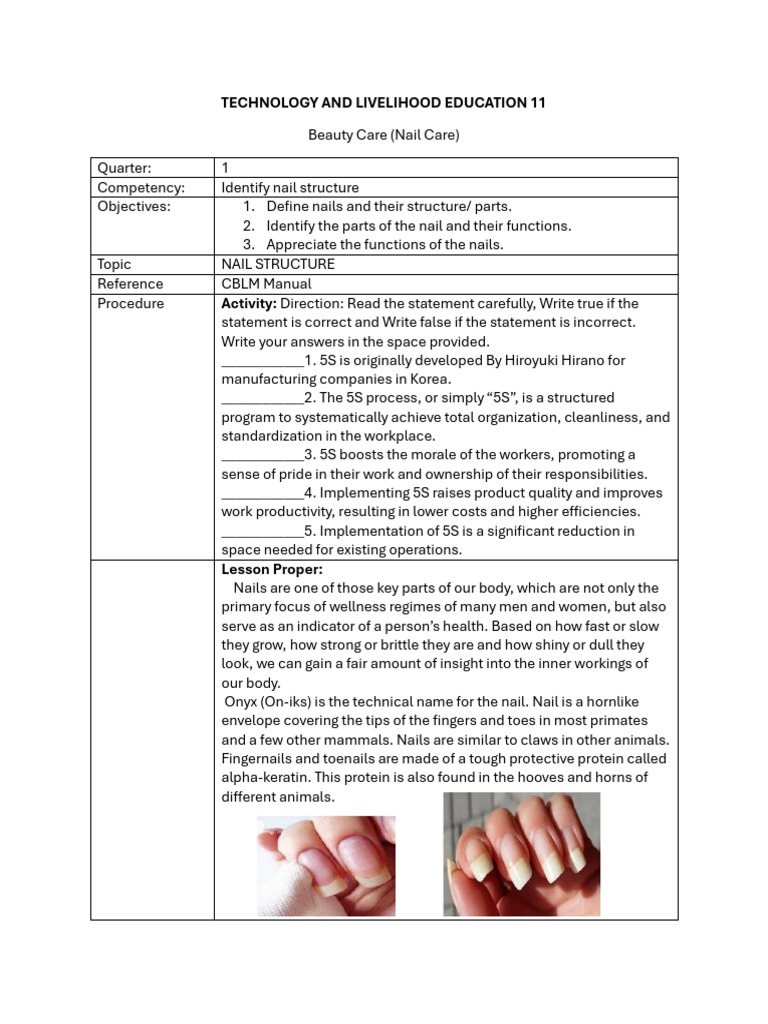 Nail Structure | PDF