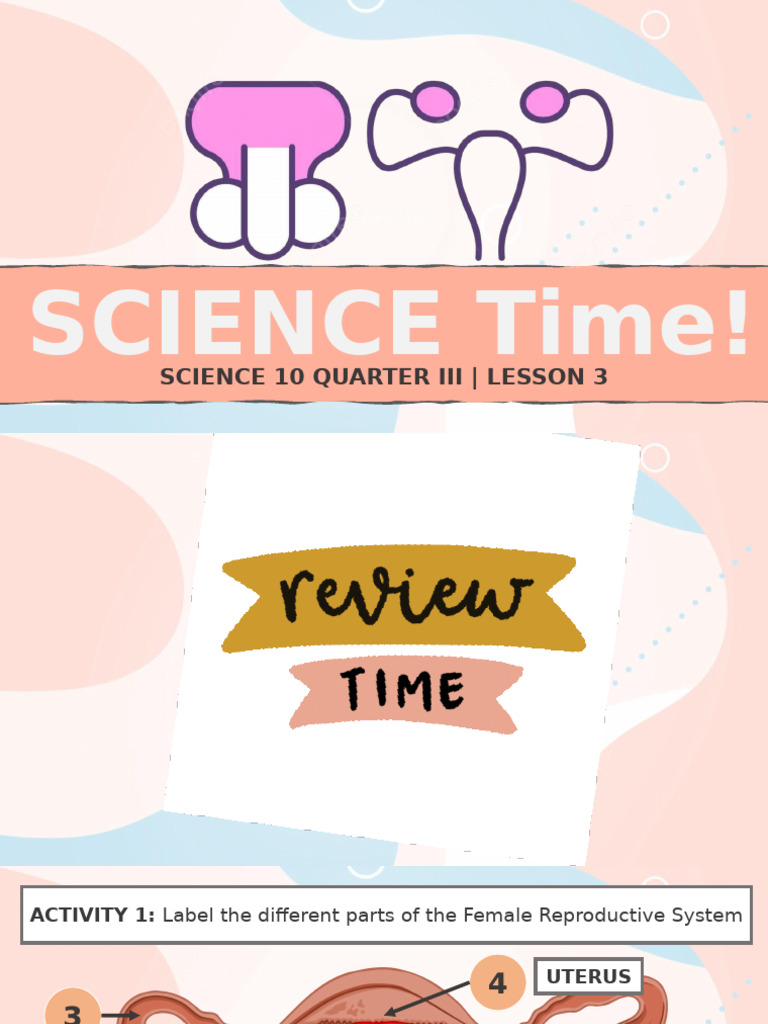 Q3 Lesson 3 Menstrual Cycle | PDF