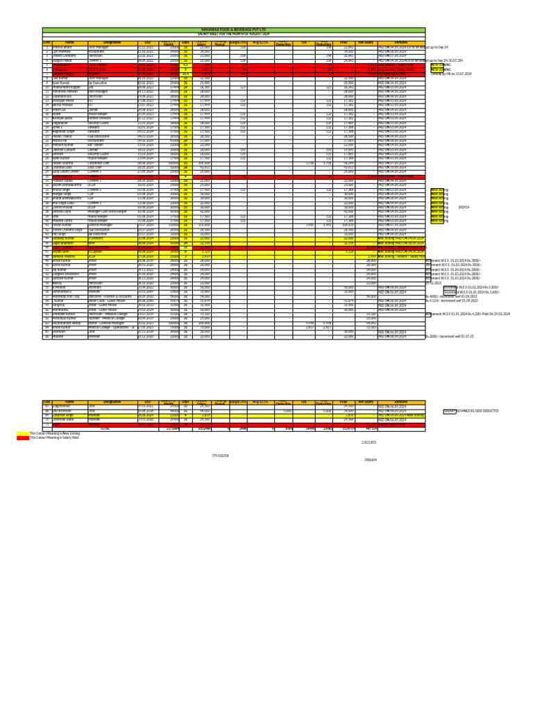 AFB - CHO Salary Sheet AUGUST 2024 | PDF