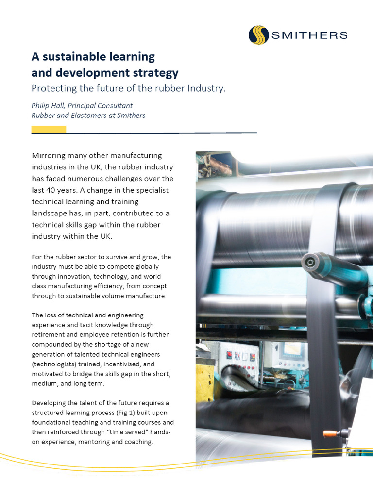 Smithers Rubber Industry Learning and Development Strategy | PDF