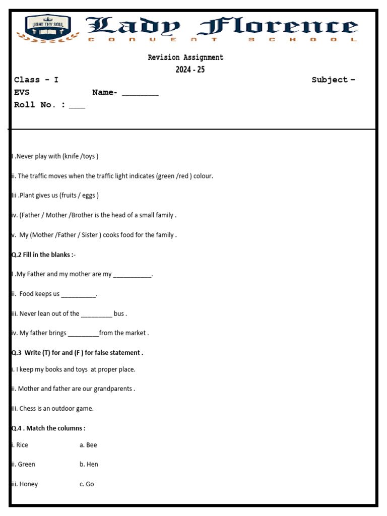 Revision Assignment (EVS Class I) | PDF