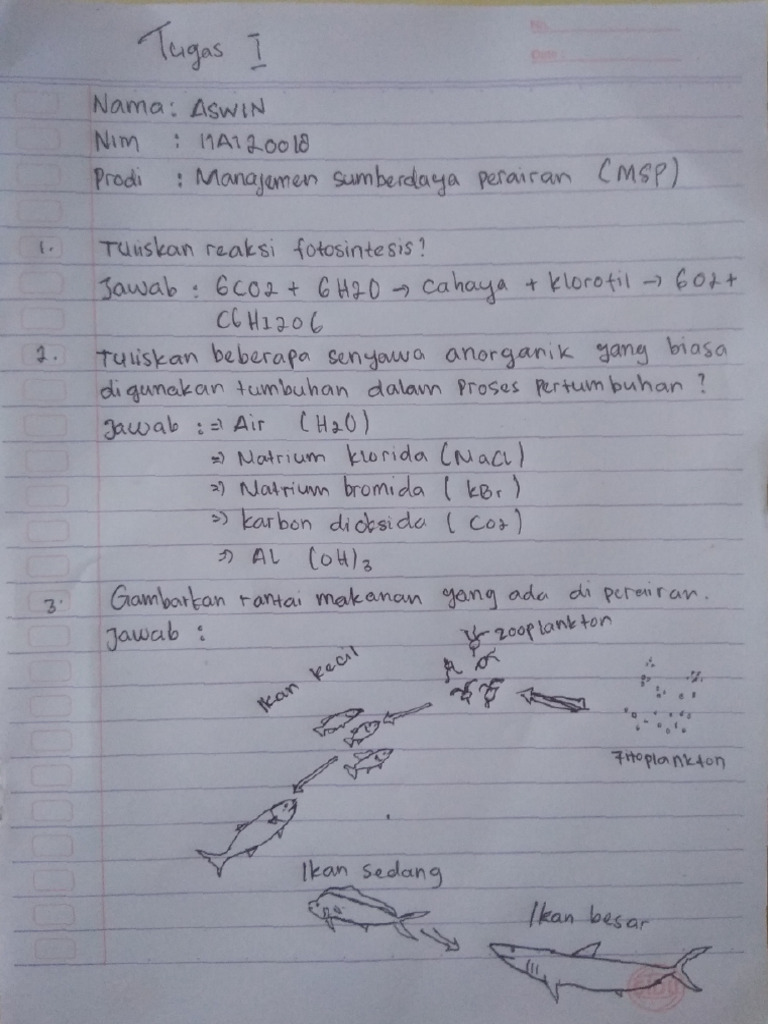 Aswin,,,Tugas 1 Pipk | PDF