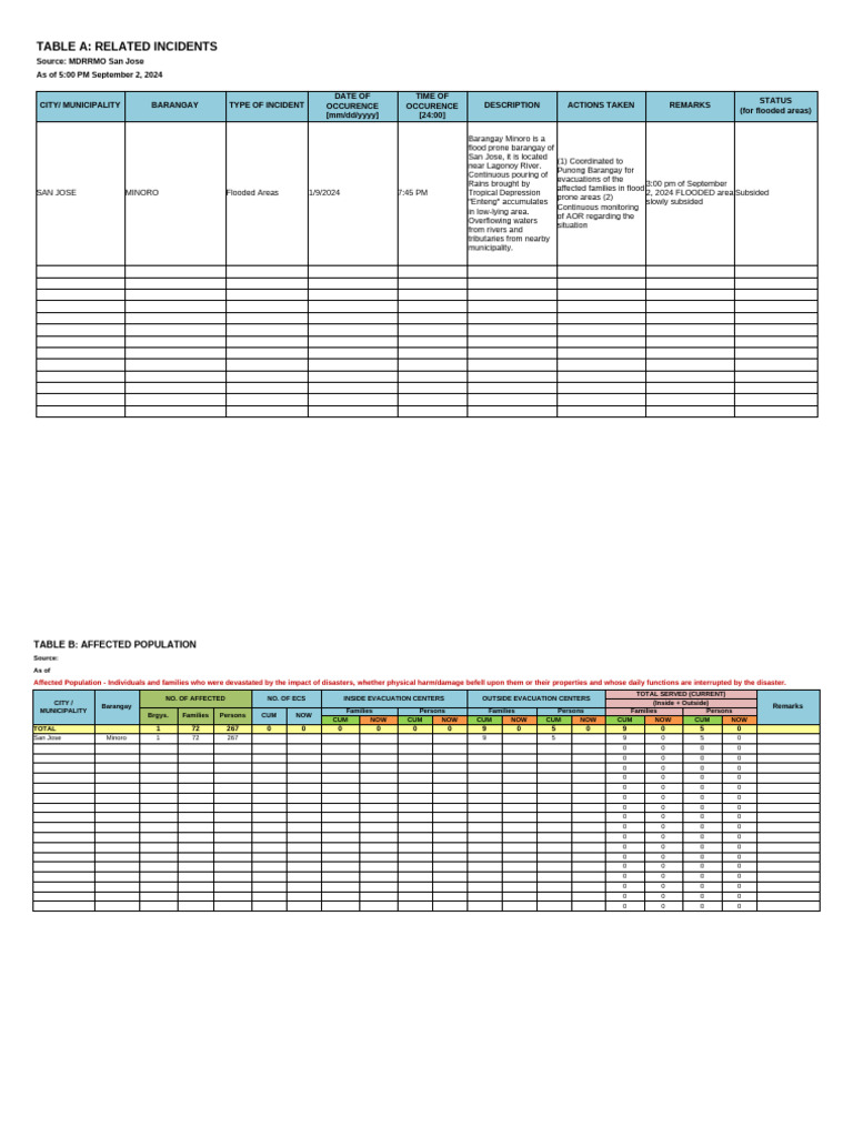 Report Template for Lgu(Autorecovered) | PDF
