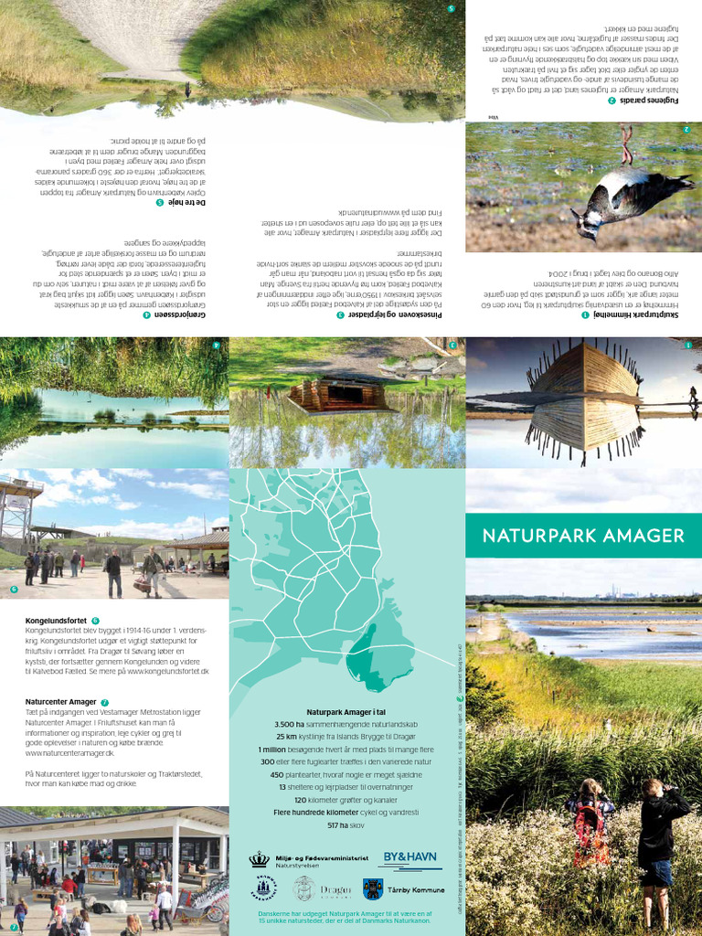 Amarminoen Kort Og Npa Folder | PDF