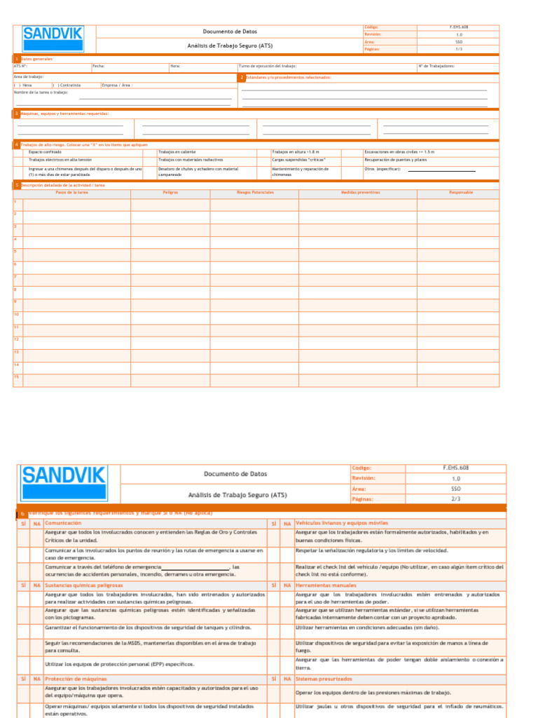 Formato de Ats | PDF
